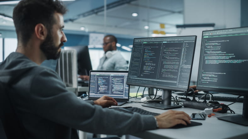 Perfil Profesional de Desarrollador de Software - Adecco