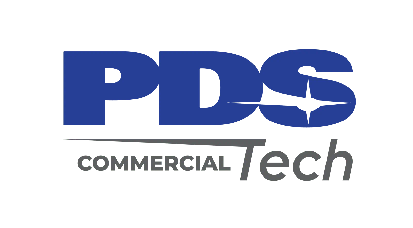 Expert Staffing Solutions for Critical Industries | PDS Tech